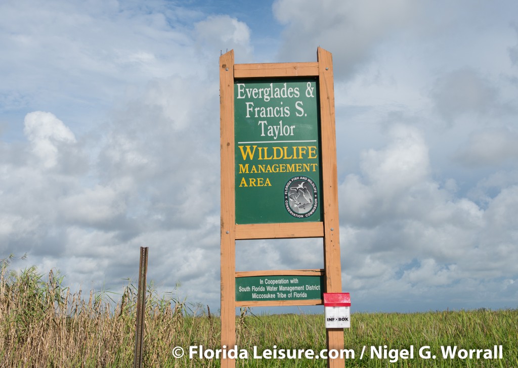 Alligator Alley | Fort Lauderdale | Everglades | Florida