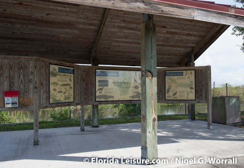 Alligator Alley | Fort Lauderdale | Everglades | Florida