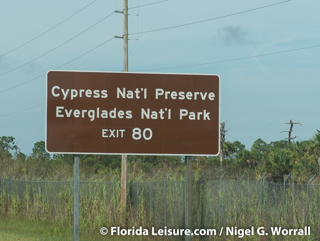 Alligator Alley | Fort Lauderdale | Everglades | Florida